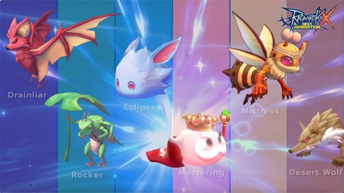 Ragnarok X: Next Generation Pet system first impression and guide on ...